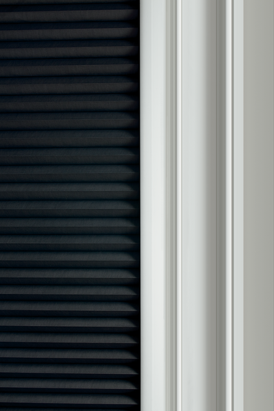 Blackout Blinds Control Temperature and Light in Every Season